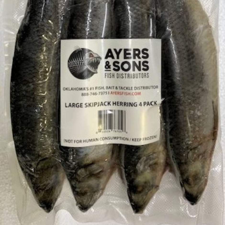 Frozen Bait for Fishing | Quality Frozen Fishing Bait by Ayers & Sons ...