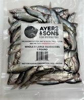 Frozen Bait for Fishing | Quality Frozen Fishing Bait by Ayers & Sons ...